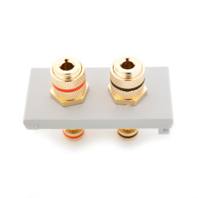 Speaker post module
