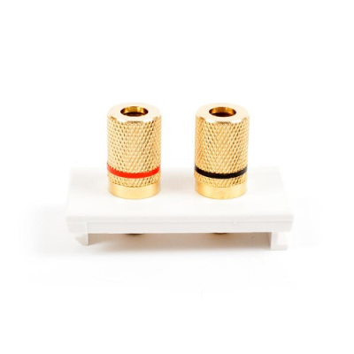 2 Speaker Solder Euro Module. Black Red Tags | EuroNetwork