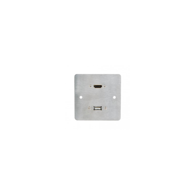 Stainless Steel Sg Hdmi, Usb A Wall Plate. | EuroNetwork
