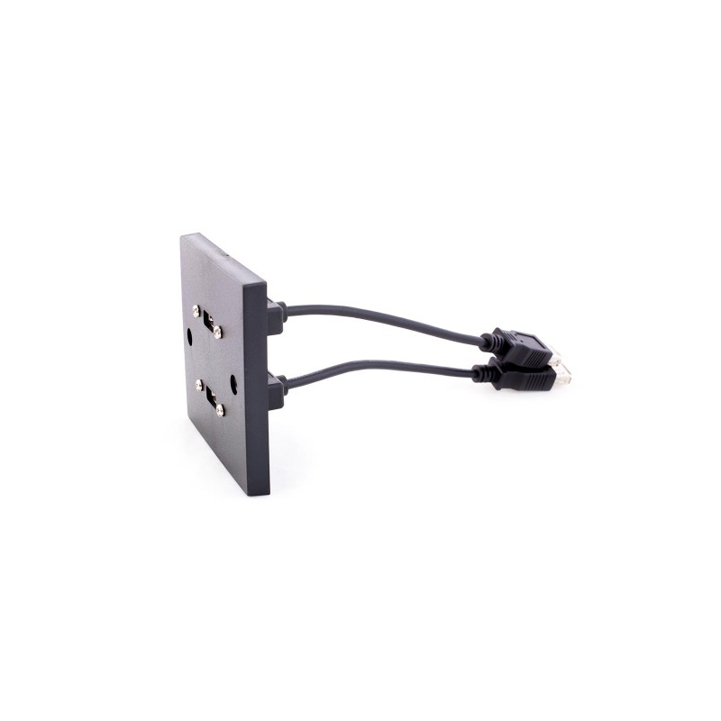Black Sg Twin Usb A Female Wall Plate | EuroNetwork