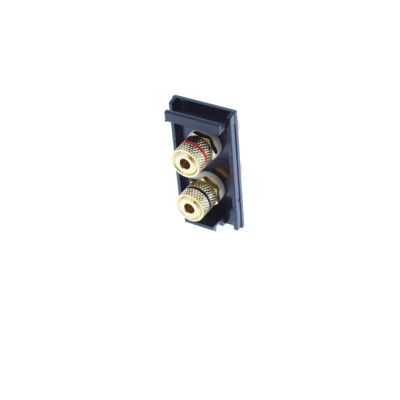 2 Speaker Black Euro Module Red Black Binding Post | EuroNetwork