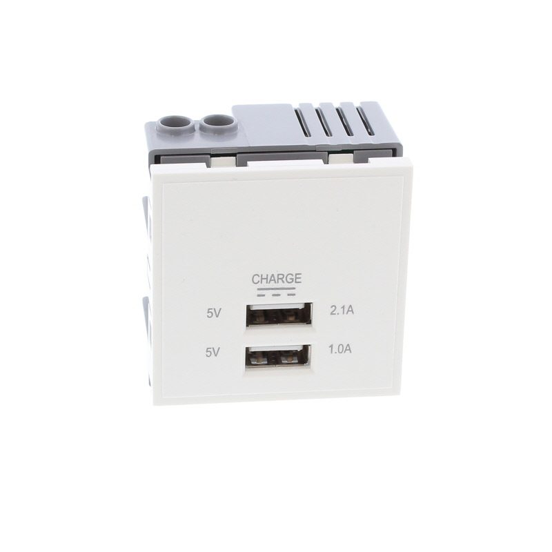 3.1 Amp USB A Twin Charger Euro Module White | EuroNetwork