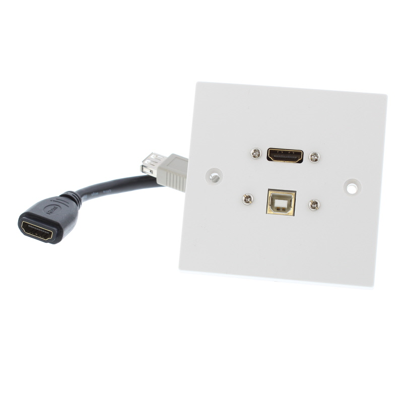 HDMI 2.1V 8K And USB B-A Wall Plate. | EuroNetwork