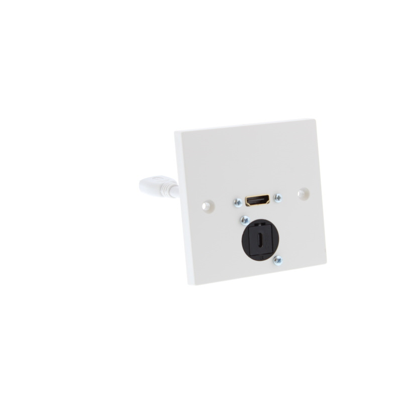 Hdmi And Usb C Single Gang Wall Plate. | EuroNetwork