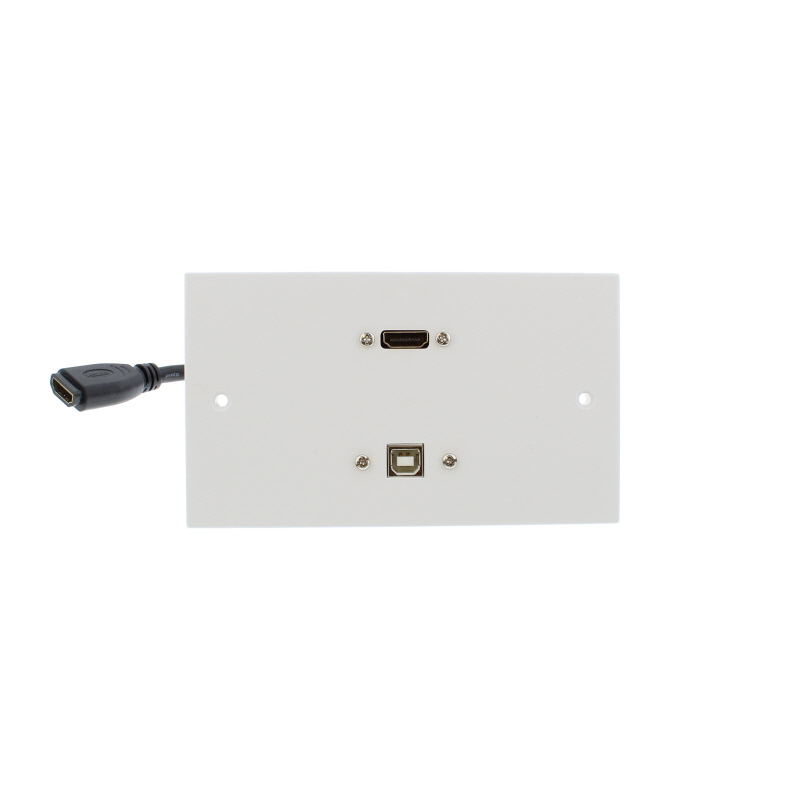 HDMI 2.1V 8K And USB B-A Double Gang Wall Plate. | EuroNetwork