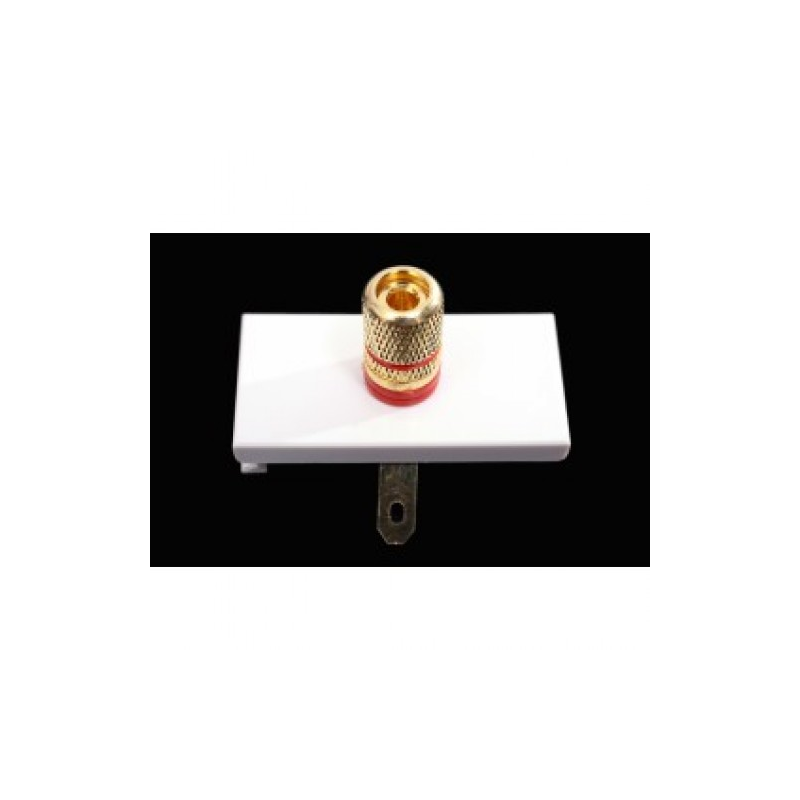 Red Speaker White Euro Module | EuroNetwork