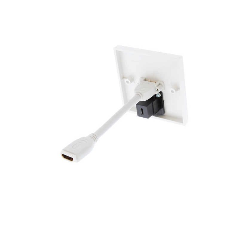 Hdmi And Usb C Single Gang Wall Plate. | EuroNetwork