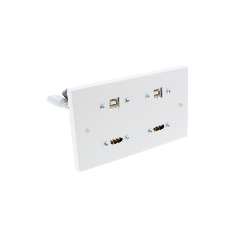 Twin Hdmi And USB B-A Plug And Play Wall Plate. Double Gang White ...